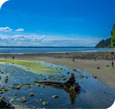 10 of the Best Trails, Parks & Beaches in Seattle Southside - The B ...