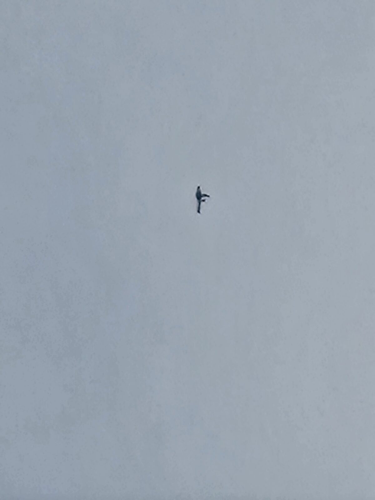 What is it? Man spots & photographs Unidentified Anomalous Phenomena ...