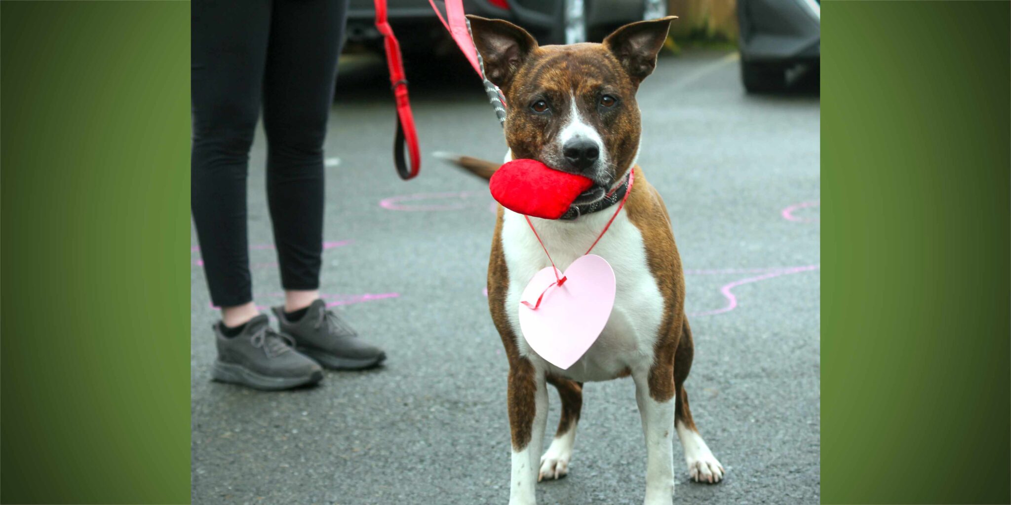 PHOTOS: Community trades roses for leashes at Burien CARES Valentine’s ...